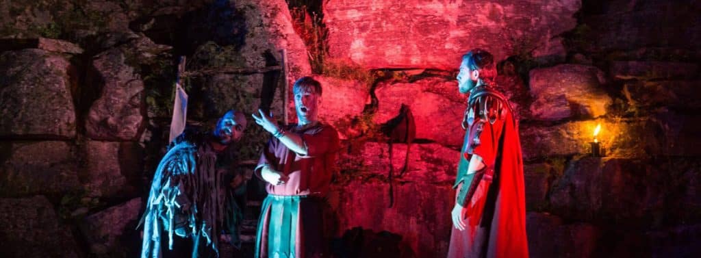 Brève histoire du fleurdelisé, le drapeau du Québec | Gazette de la ...